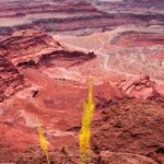 Canyonlands National Park Backcountry 4x4 Adventure from Moab - Who Is This Tour Best For?
