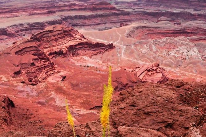 Canyonlands National Park Backcountry 4x4 Adventure from Moab - Who Is This Tour Best For?