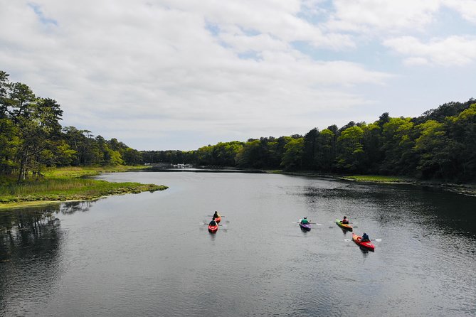 Cape Cod Explorer Tour - The Setting: Calm Waters and Natural Highlights
