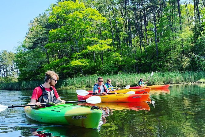 Cape Cod Explorer Tour - The First Stop: Popponesset Bay & Wildlife