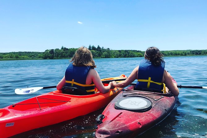 Cape Cod Explorer Tour - The Guides: Knowledgeable and Passionate