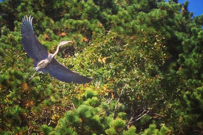 Cape Cod Explorer Tour - Duration and Booking