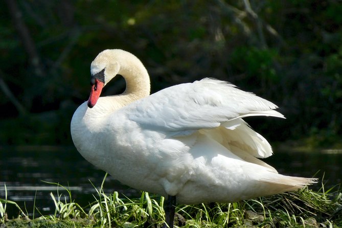 Cape Cod Explorer Tour - Pricing and Value
