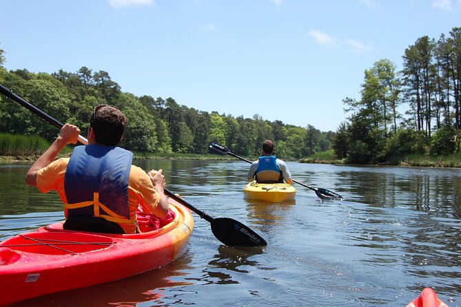 Cape Cod Kayak Rentals in Popponesset Bay Mashpee - The Experience: What You Can Expect