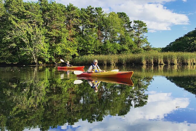 Cape Cod Kayak Rentals in the Great Marsh - Why Choose Cape Cod Kayak Rentals in the Great Marsh?