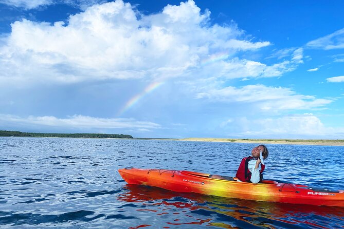 Cape Cod Kayak Rentals in the Great Marsh - Is This Tour Right for You?