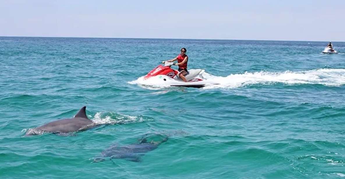 Cape Coral and Fort Myers: Wild Life Jet Ski Tour - What to Expect on Your Jet Ski Adventure