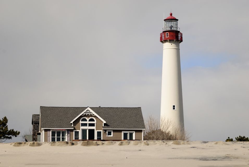 Cape May: 2-Hour Dolphin Watching Cruise - The Itinerary and Experience