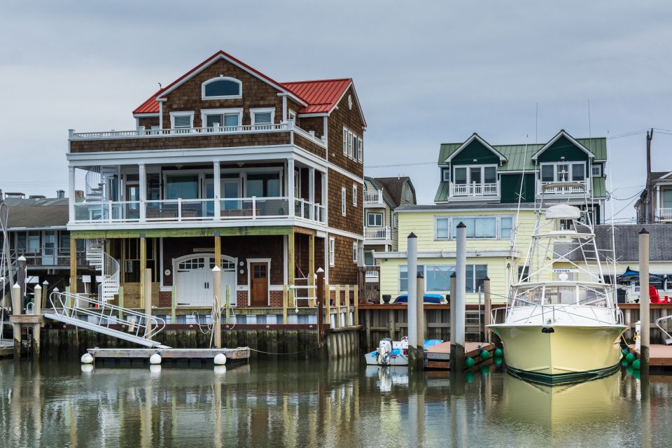 Cape May: 2-Hour Dolphin Watching Cruise - The Sum Up