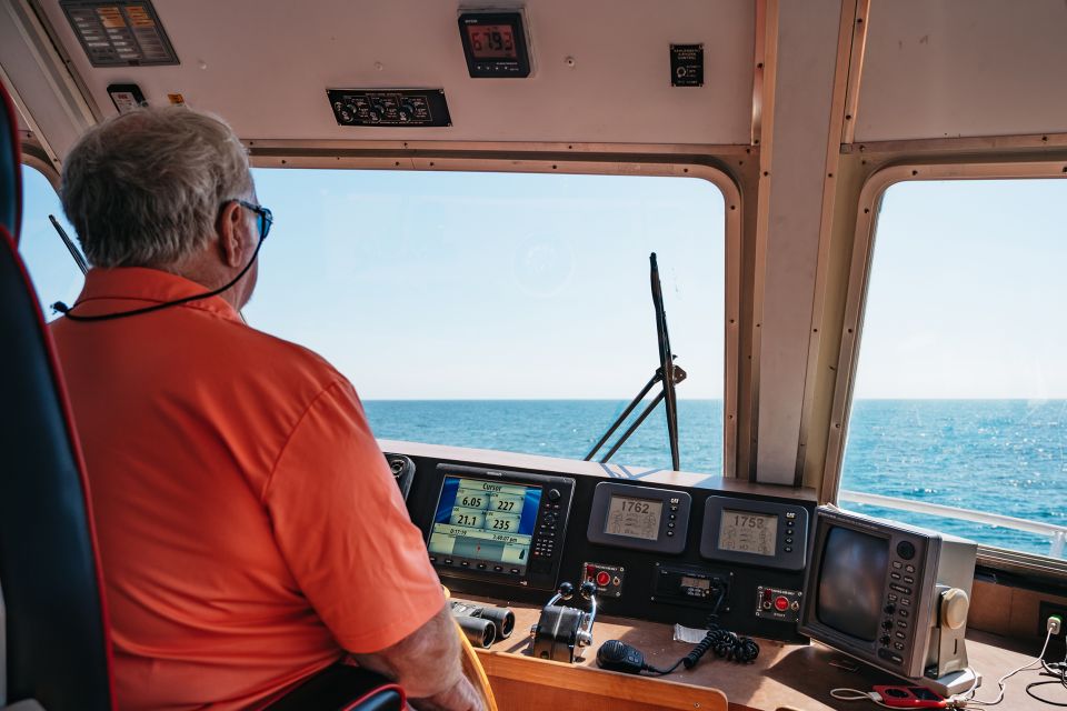 Cape May: Jersey Shore Whale and Dolphin Watching Cruise - An In-Depth Look at the Experience