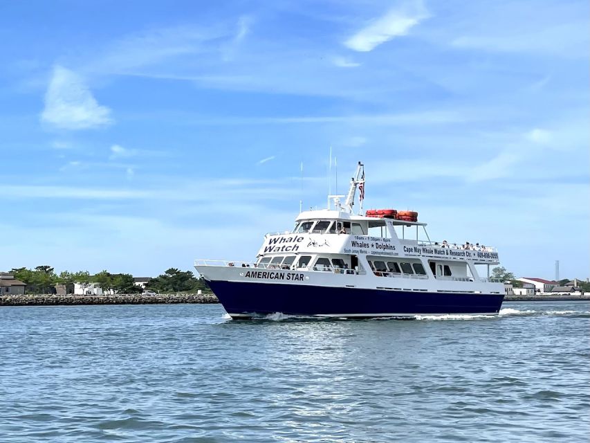 Cape May: Scenic Whale and Dolphin Watching Cruise - Is This Tour Right for You?