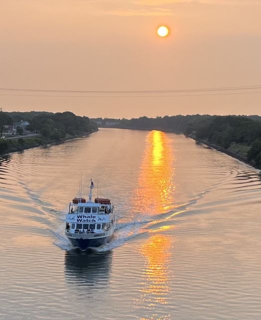 Cape May: Sunset Dolphin Watching Cruise with Food - An In-Depth Look at the Sunset Dolphin Watching Cruise