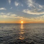 Cape May: Sunset Dolphin Watching Cruise with Food - Authentic Reviews and Insights