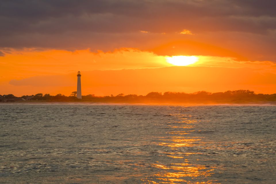 Cape May: Weekend Whale and Dolphin Watching Cruise - The Experience in Detail