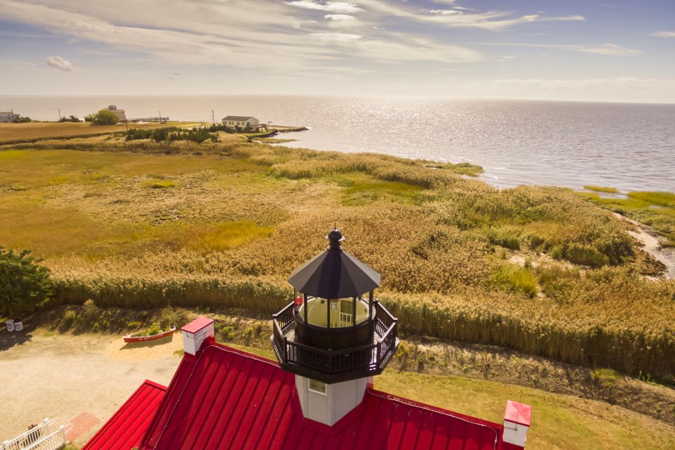 Cape May: Weekend Whale and Dolphin Watching Cruise - The Sum Up