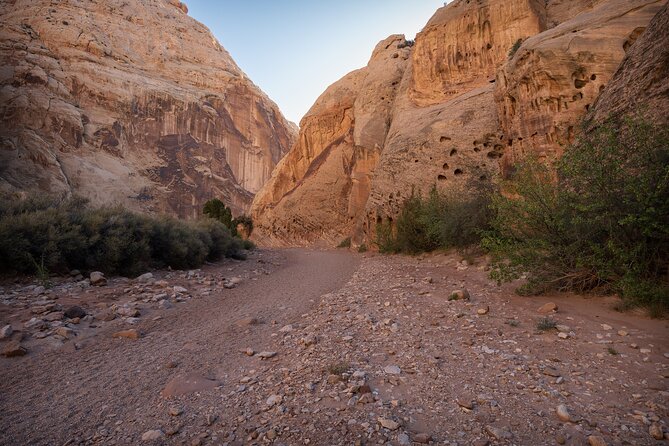 Capitol Reef Photography Tours - Practical Details and Value