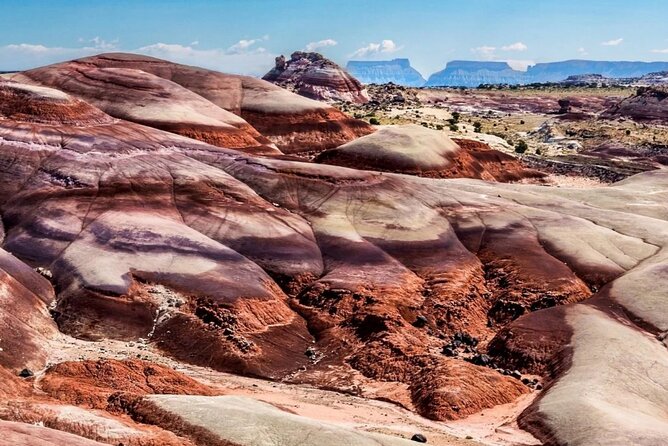 Capitol Reef Private Tour in Cathedral Valley and Bentonite Hills - Authentic Experiences from Past Travelers