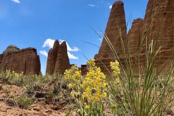 Capitol Reef Private Tour in Cathedral Valley and Bentonite Hills - Frequently Asked Questions