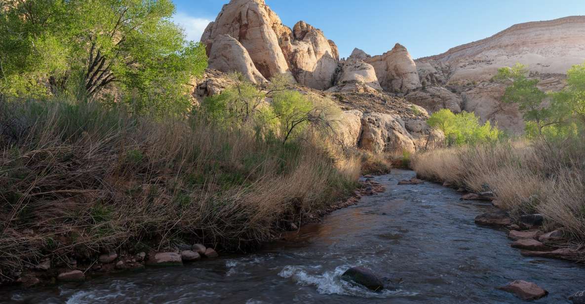 Capitol Reef Sunrise Photography Tour - Key Points