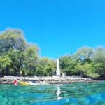 Captain Cook Reef Snorkeling of Kealakekua Bay - Why This Tour is a Great Value