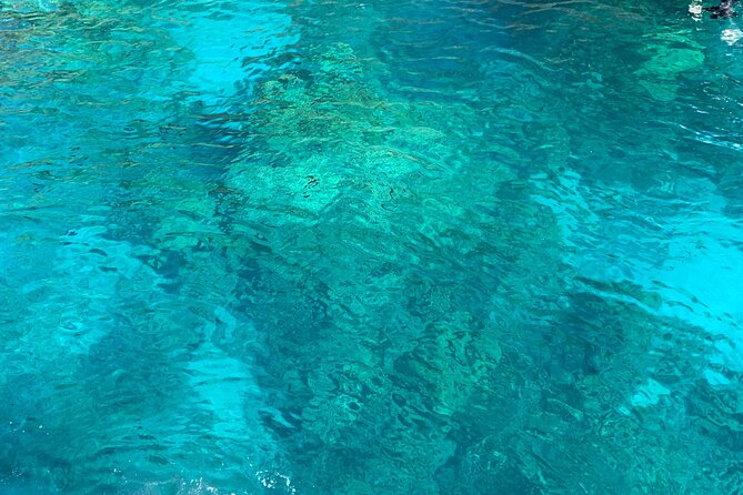 Captain Cook Reef Snorkeling of Kealakekua Bay - Practical Tips for Your Trip  
