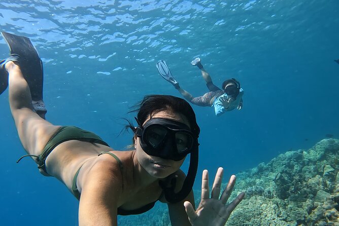 Captain Cook Reef Snorkeling of Kealakekua Bay - Final Thoughts: Who Should Consider This Tour?  