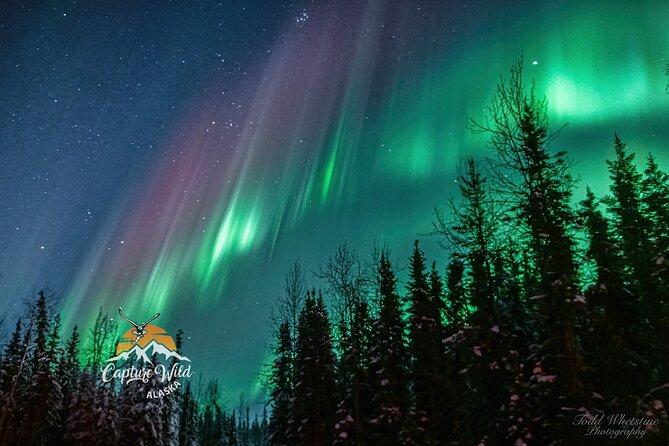 Capturing the Ethereal Beauty: Northern Lights Photo Workshop - Capturing the Ethereal Beauty: Northern Lights Photo Workshop