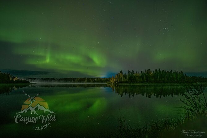 Capturing the Ethereal Beauty: Northern Lights Photo Workshop - The Sum Up