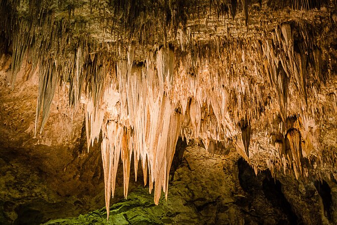 Carlsbad Caverns Self-Guided Walking Tour (Not a ticket) - Introduction