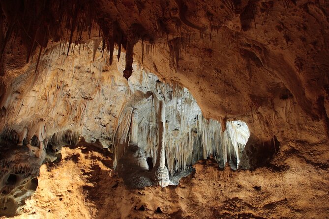 Carlsbad Caverns Self-Guided Walking Tour (Not a ticket) - Key Points