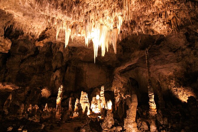 Carlsbad Caverns Self-Guided Walking Tour (Not a ticket) - The Sum Up