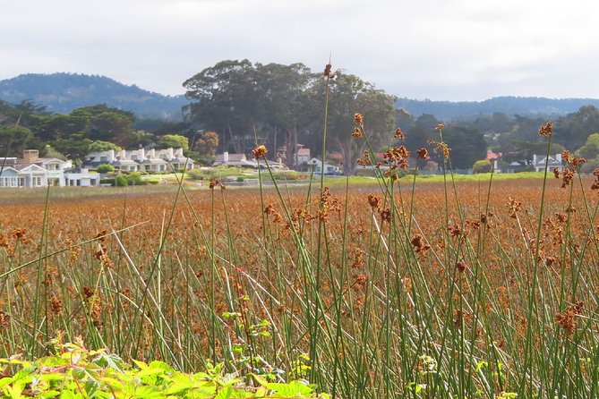 Carmel Point: A Self-Guided Audio Tour - Final Thoughts