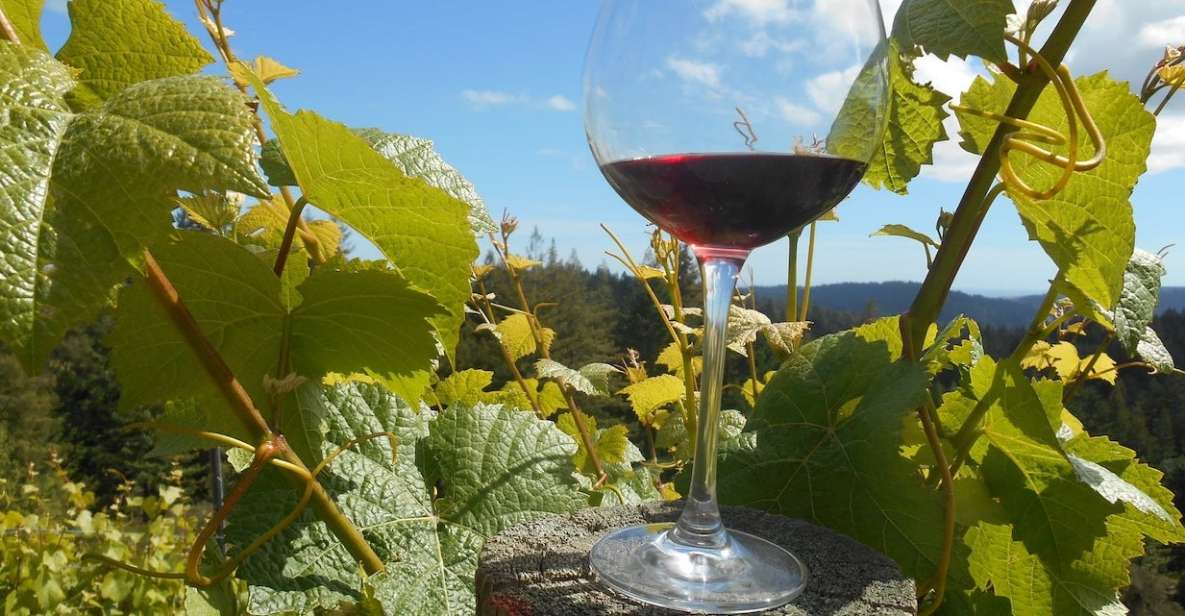 Carmel Valley Wine Tasting Tour - A detailed look at what you can expect