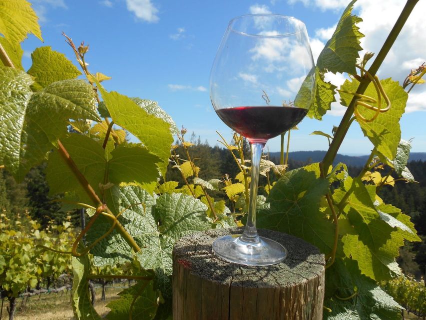 Carmel Valley Wine Tasting Tour - The Experience and Its Unique Touches