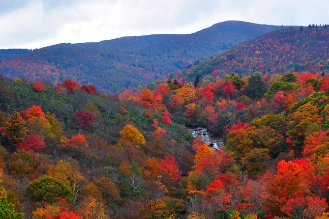 Carolina Waterfalls and Highlands Private VIP Boutique Tour - Frequently Asked Questions
