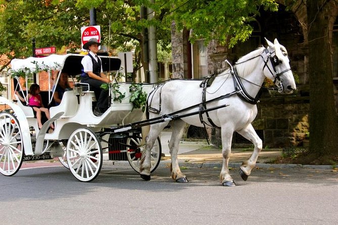 Carriage Ride in Central Park (VIP - PRIVATE) Since 1964 - Starting Point and Logistics