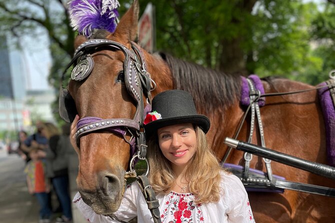 Carriage Ride in Central Park (VIP - PRIVATE) Since 1964 - The Carriage Itself: Comfort and Accessibility