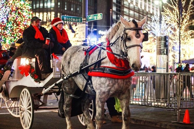 Carriage Ride in Central Park (VIP - PRIVATE) Since 1964 - The Guide and Commentary