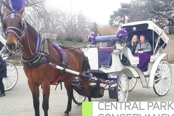 Carriage Ride in Central Park (VIP - PRIVATE) Since 1964 - The Route and Stops: What You’ll See