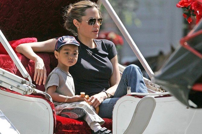 Carriage Ride in Central Park (VIP - PRIVATE) Since 1964 - The Personal Touch: Extras and Tips