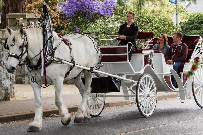 Carriage Ride in Central Park (VIP - PRIVATE) Since 1964 - Price, Value, and Overall Cost