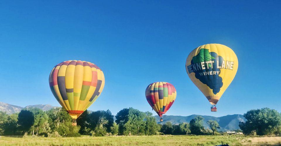 Carson City: Hot Air Balloon Flight - The Experience Provider: Balloon Nevada