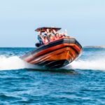 Cascais: Dolphin Watching Tour - What to Expect from the Dolphin Watching Experience