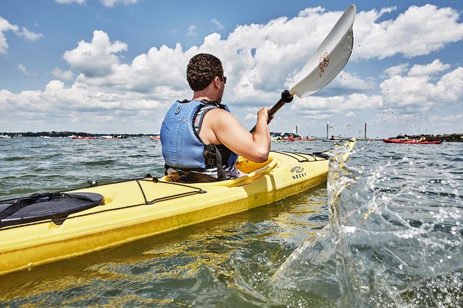 Casco Bay Half-Day Sea Kayak Tour - Final Thoughts: Who Will Love This Kayak Tour?