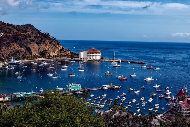 Catalina Island All Inclusive Sightseeing Tour From Orange County - Key Points