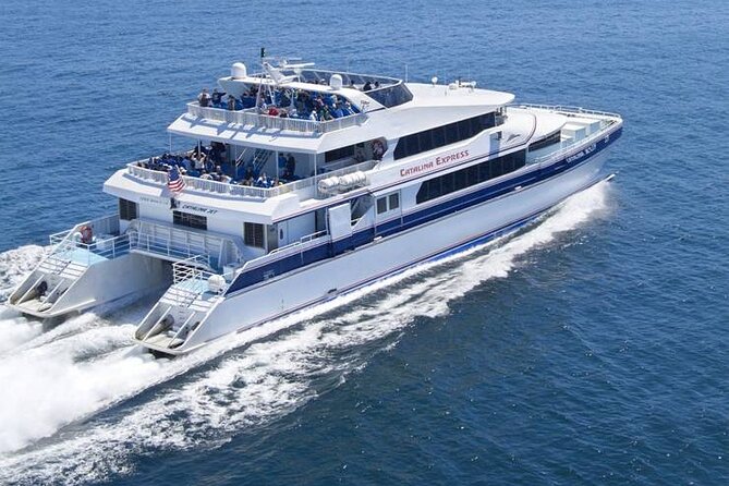 Catalina Island Day Trip from Anaheim Hotels with Discover Avalon Tour - An Overview of the Experience