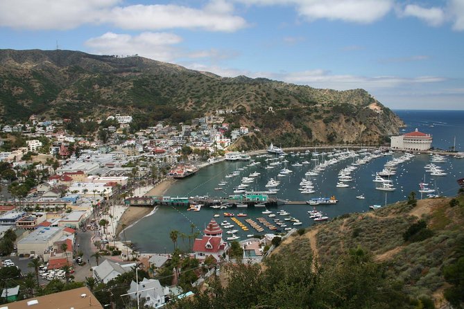 Catalina Island Day Trip from Anaheim Hotels with Discover Avalon Tour - Free Time and Optional Upgrades