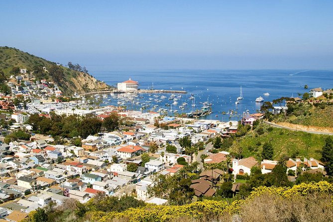 Catalina Island Day Trip from Anaheim Hotels with Discover Avalon Tour - Pricing and Value