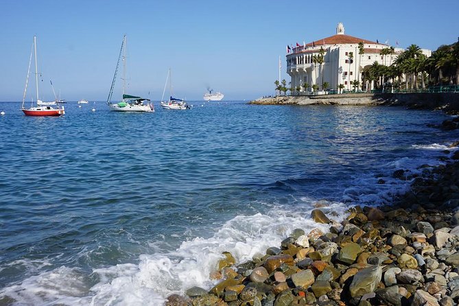 Catalina Island Day Trip from Anaheim Hotels with Discover Avalon Tour - Who Should Consider This Tour?