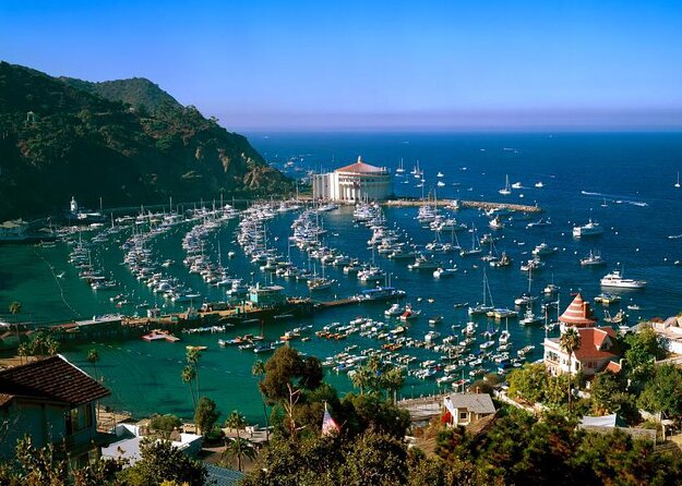 Catalina Island Day Trip from LAX area hotels with Undersea Adventure - Key Points